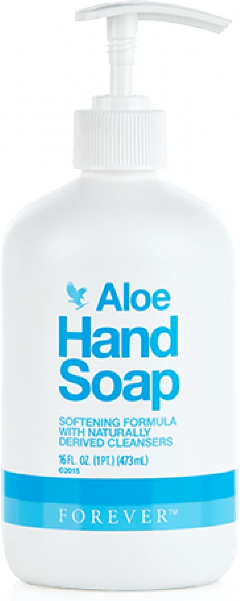 Forever Hand Soap - 112,10 TL'ye Sipariş